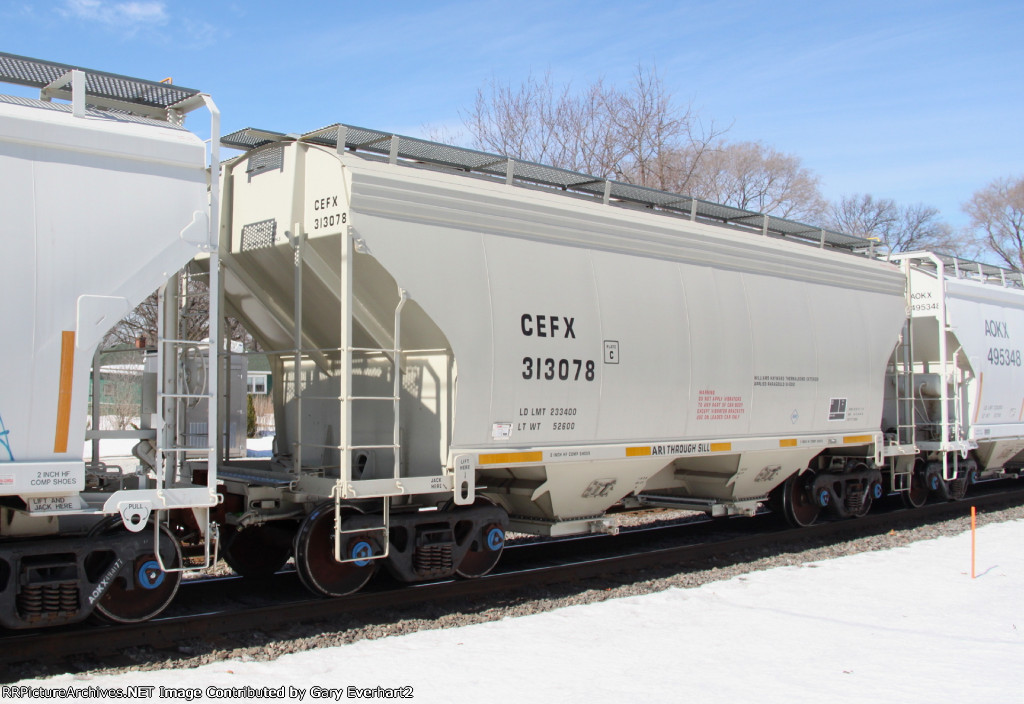 CEFX 313078 - CIT Group